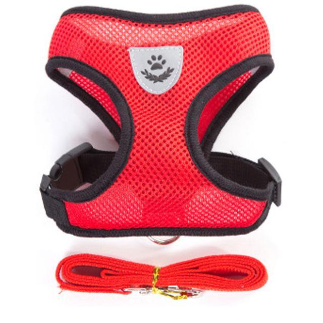 Cat Harness and Leash 7 Colours! - Best Pet Store